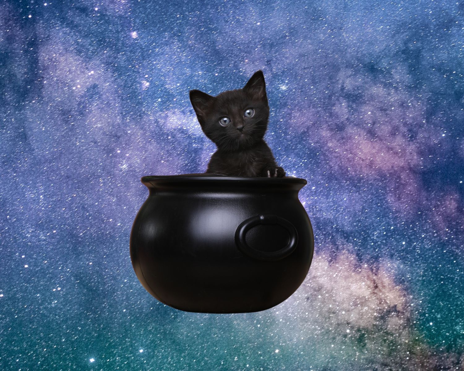 Spirituele betekenis zwarte kat: macht & meer - VolleMaanKalender.nl Spirituele betekenis zwarte kat: macht & meer - VolleMaanKalender.nl