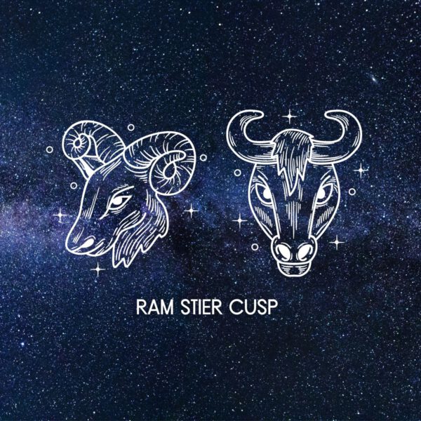 Sterrenbeelden: alles over de 12 tekens van de dierenriem ...