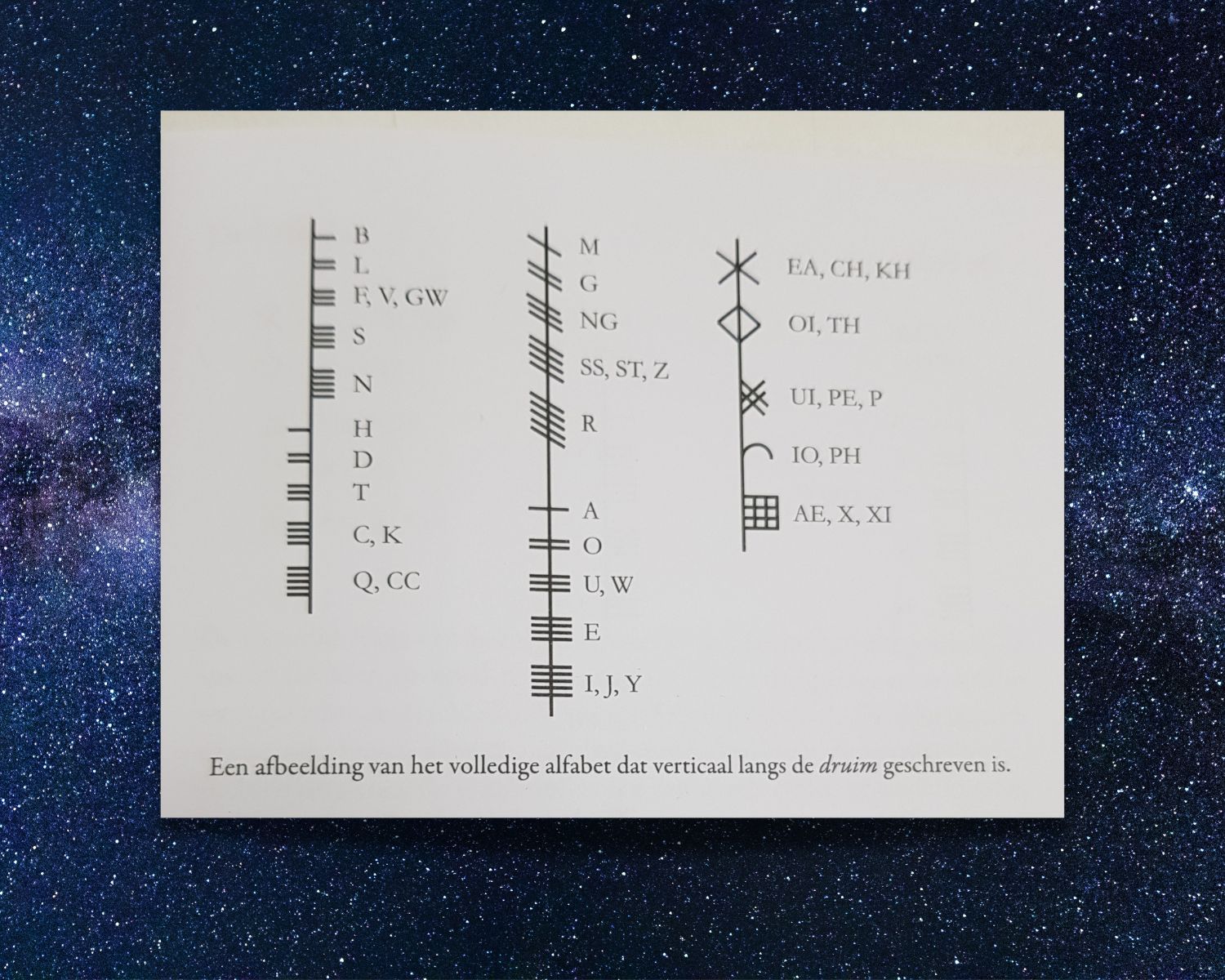 Het Orakel van de Keltische bomen uitleg en voorbeelden ...
