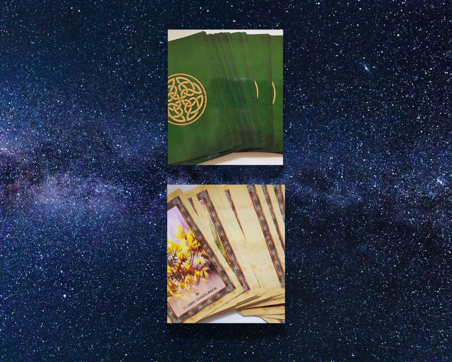 Het Orakel van de Keltische bomen uitleg en voorbeelden ...