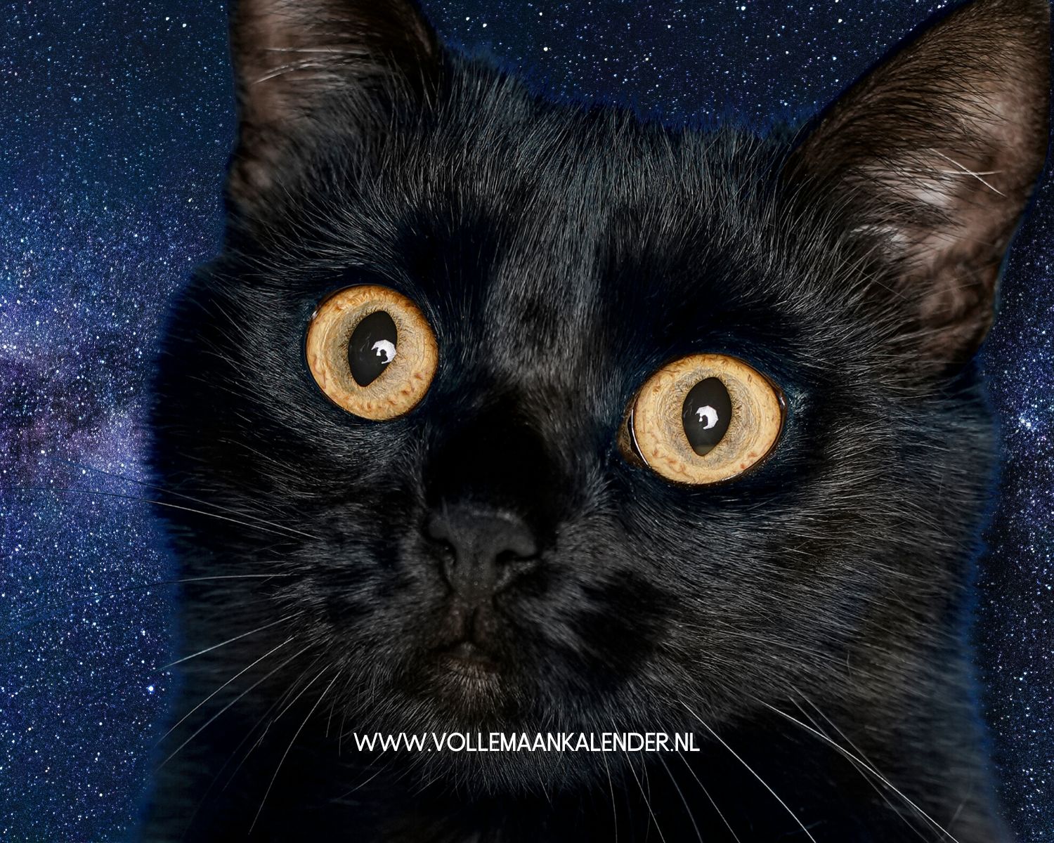 Spirituele betekenis Vrijdag de 13e (Vrijdag 13-10-2023 ...