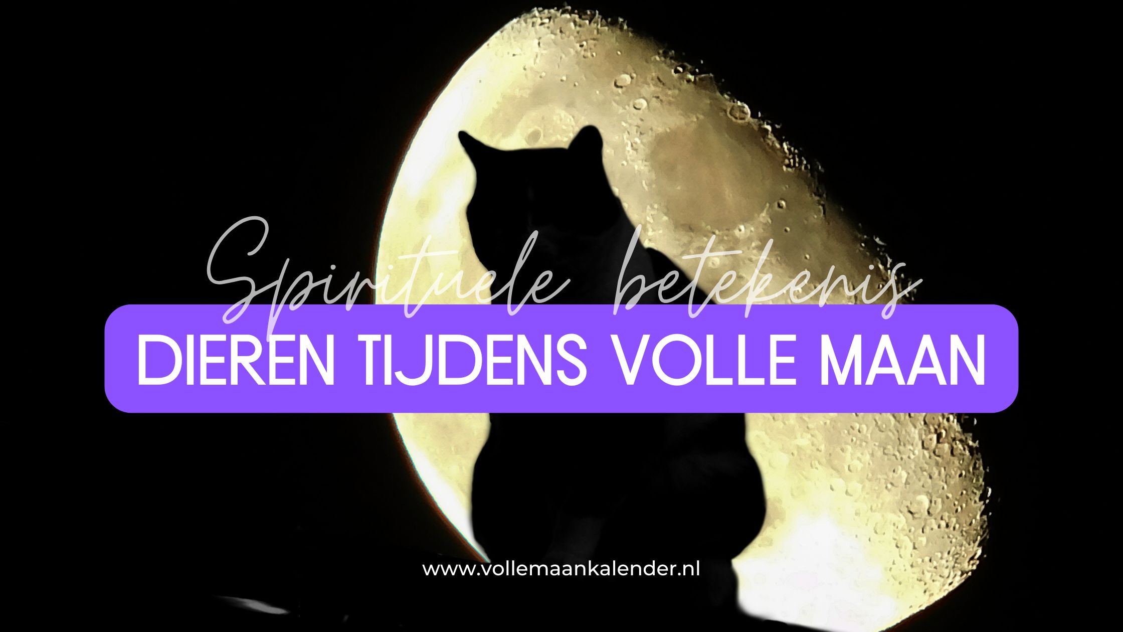 Volle maan en dieren (gedrag) - VolleMaanKalender.nl